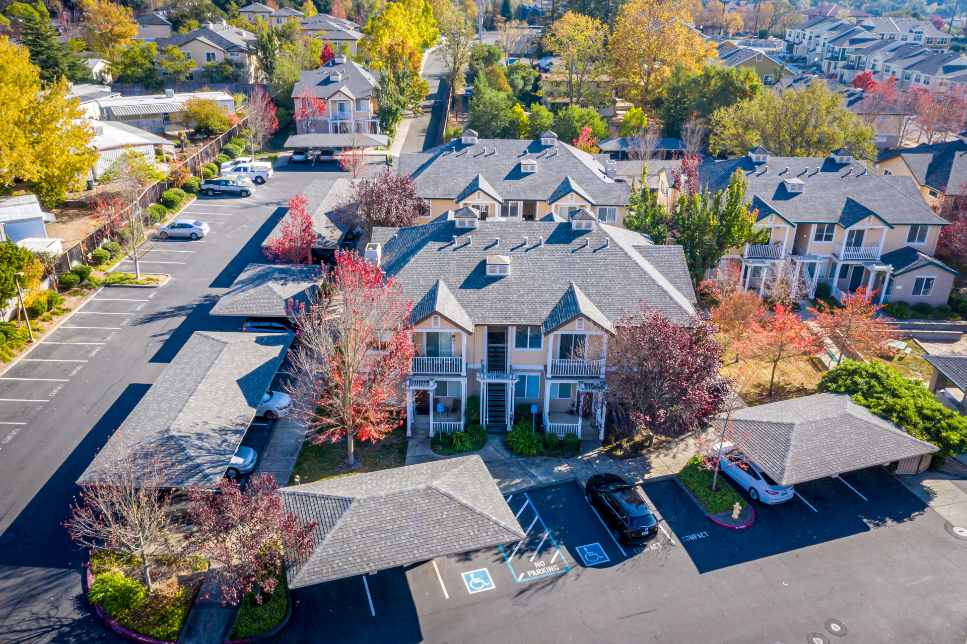 Portfolio - Artisan Pacific Builders